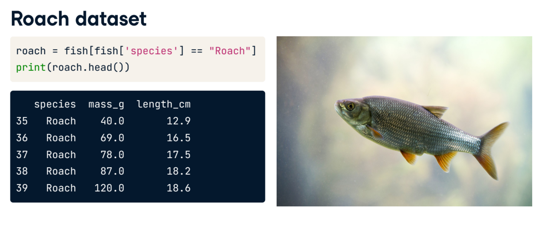 Introduction To Regression With Statsmodels In Python Self study Data 